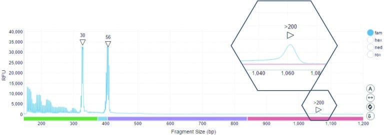 FMR1 Gene Testing | AmplideX® PCR/CE FMR1 Reagents | Asuragen