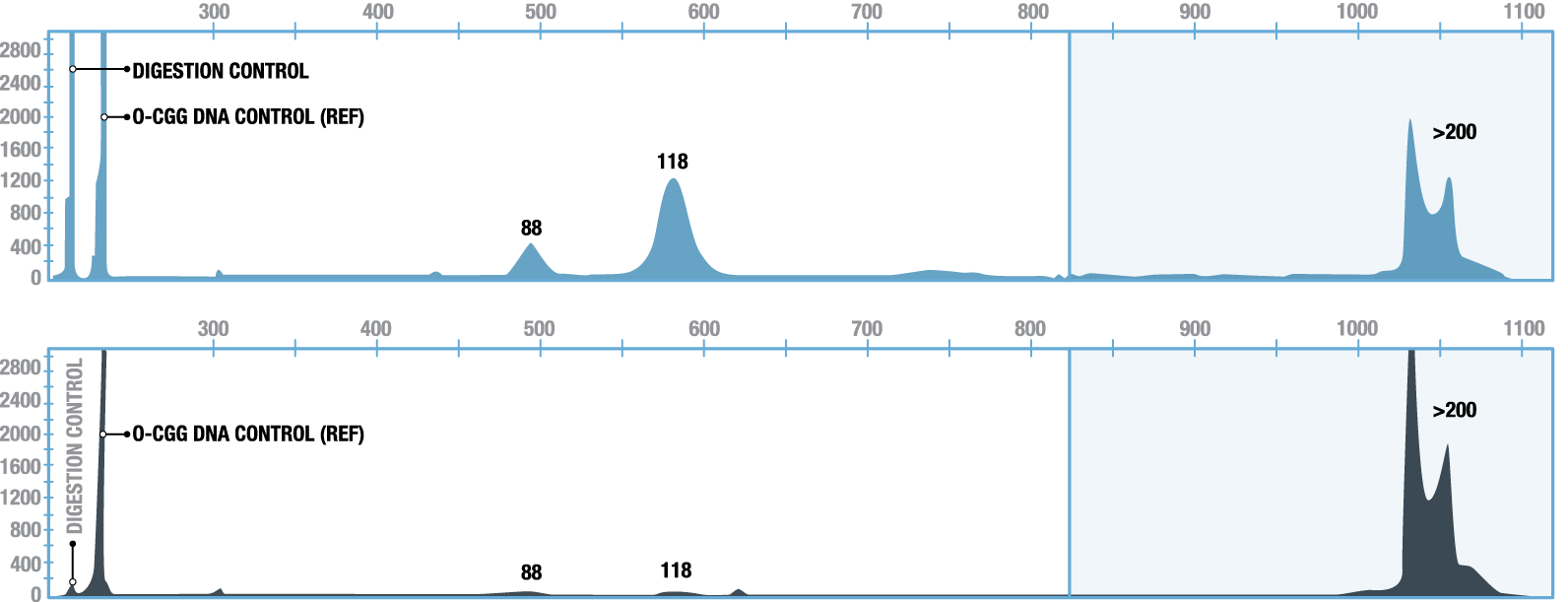 FMR1 Gene Detection | AmplideX® mPCR FMR1 Kit | Asuragen