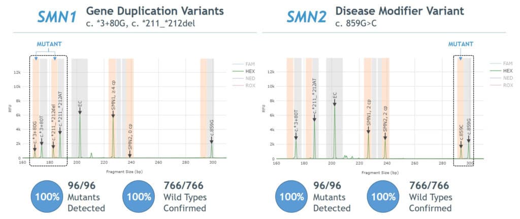 AmplideX® PCR/CE SMN1/2 Plus Kit | Asuragen