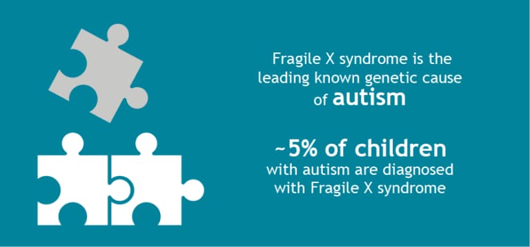 Fragile X Syndrome | Resources for Prospective Parents | Asuragen