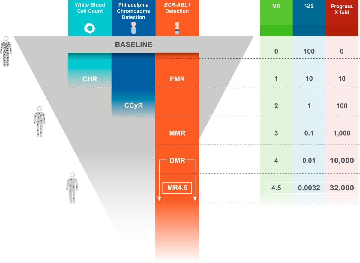 Chronic Myeloid Leukemia Monitoring, CML Patient Resources | Asuragen