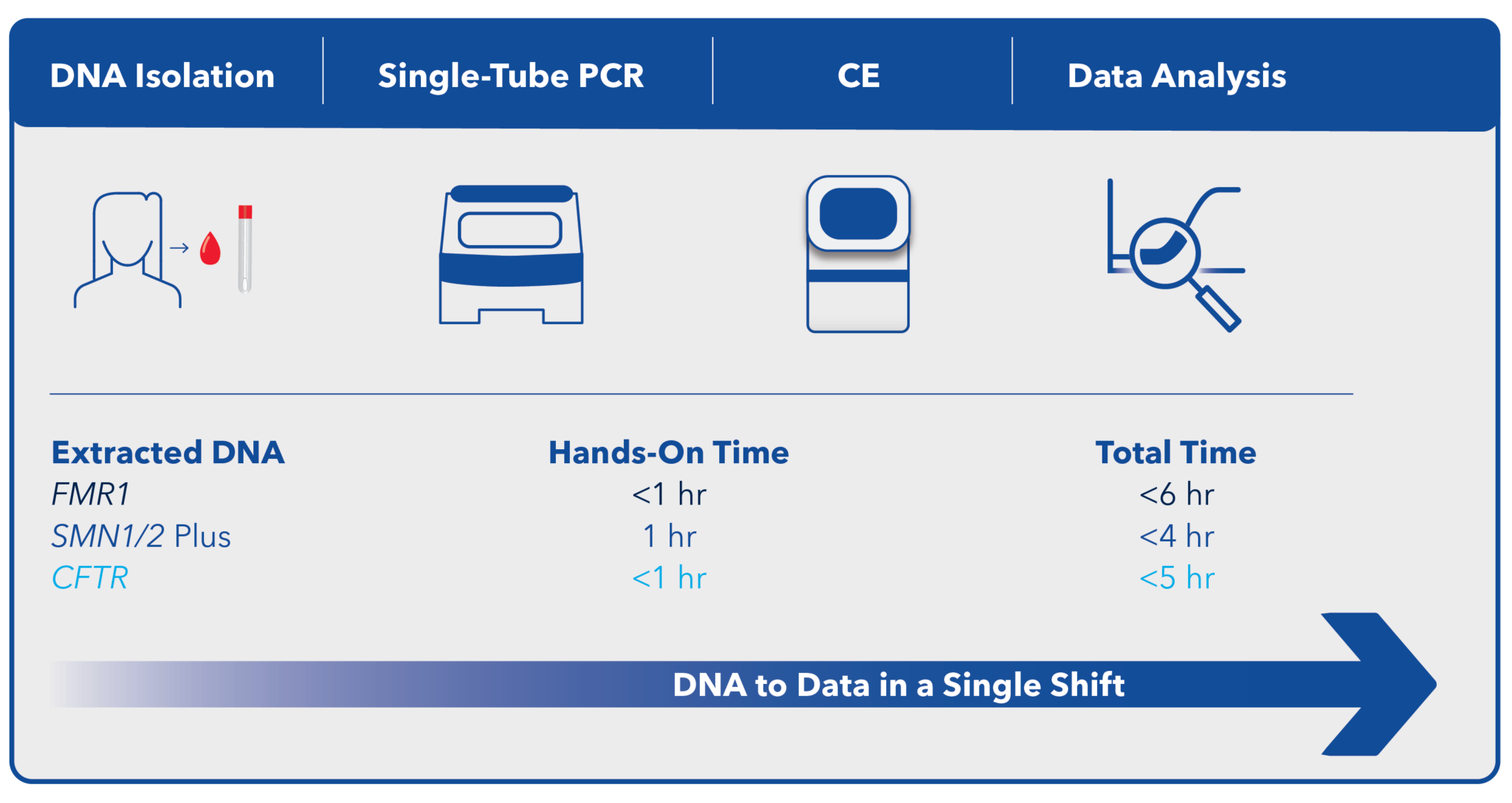 Analyze CFTR, SMN1/2 & FMR1 in one PCR workflow | Asuragen