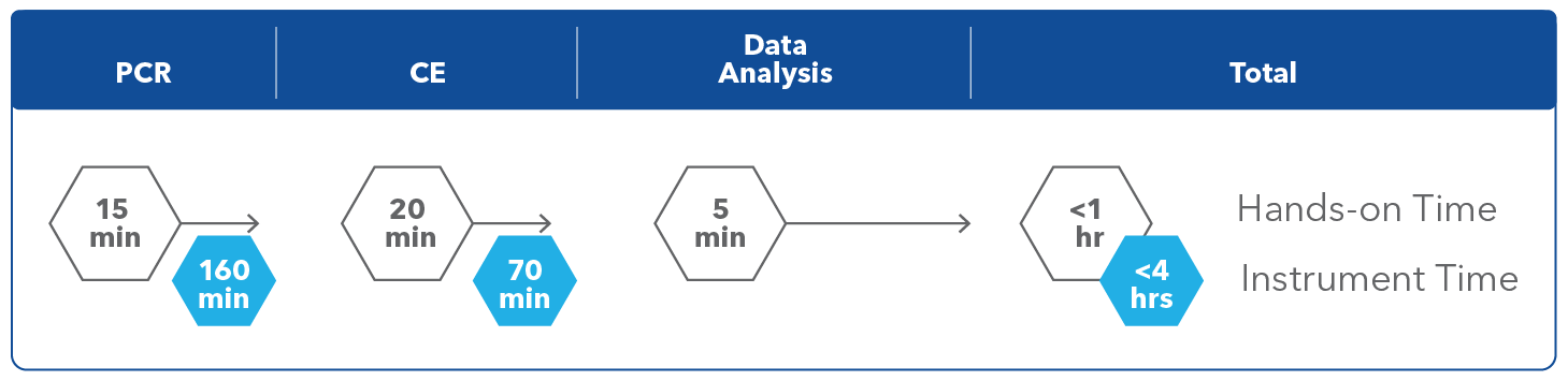 CFTR Gene Mutation Testing | Amplidex® PCR/CE CFTR Kit | Asuragen