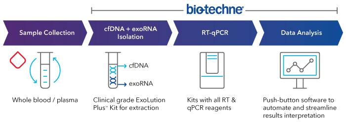 ESR1 Mutation Testing | QuantideX qPCR ESR1 | Asuragen